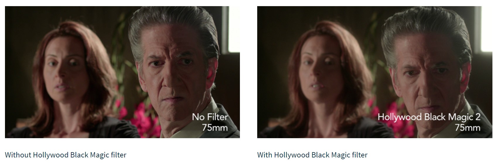 正成集團-影視器材總匯 CHENG SENG GROUP